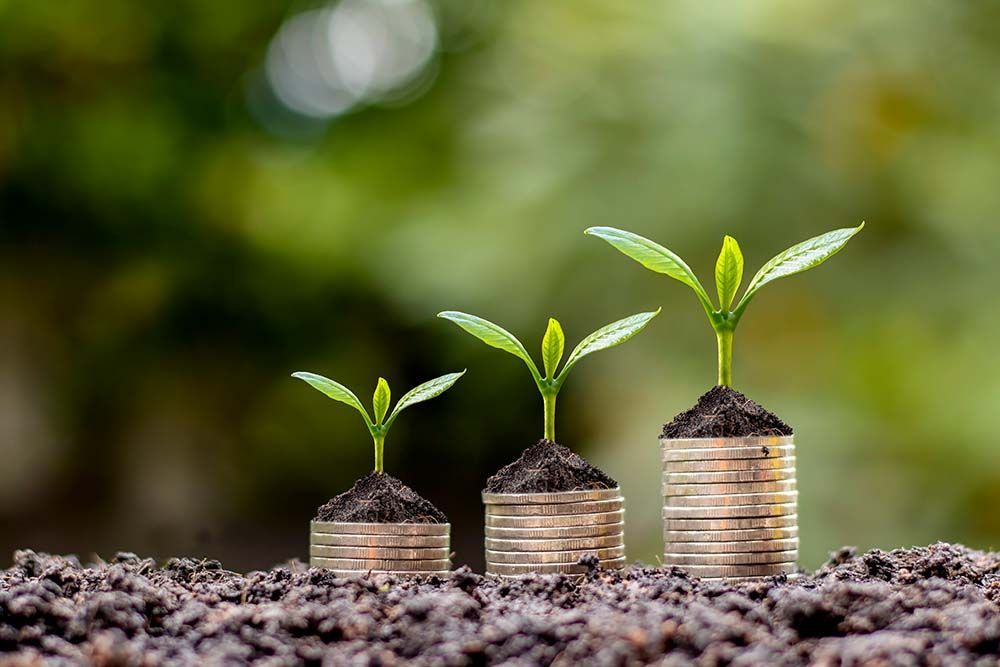 Agricultural Economics | HFUA