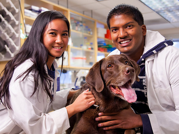 Veterinary Science | HFUA